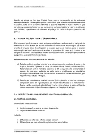 Libro de Prácticas de 4º de Anatomía Patológica. FPII. | DOC