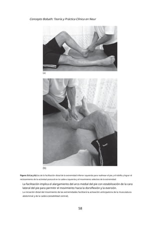 LIBRO BOBATH CONCEPTO-TRADUCIDO | PDF