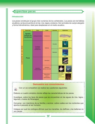 CCNN 8vo grado | PDF