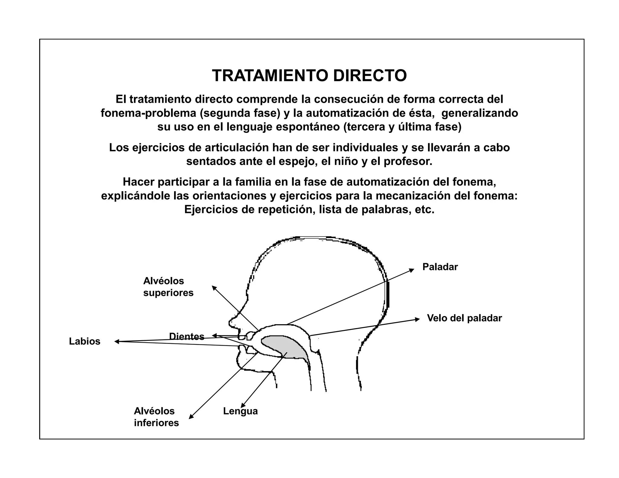 Libro de dislalias | PDF