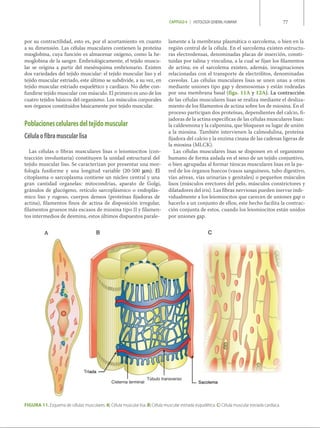Libro de Histología, embriología e ingeniería tisular bucodental..pdf