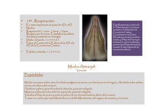 Libro la respiracion merkabah | PPT