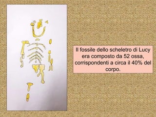 Conosciamo Lucy | PPTX