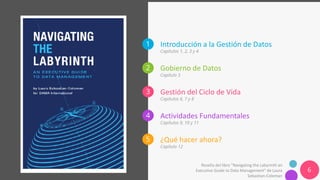Reseña del libro "Navigating the Labyrinth an Executive Guide to Data ...