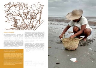 Saberes y Sabores Del Pacífico Colombiano Guapi- Quibdó | PDF