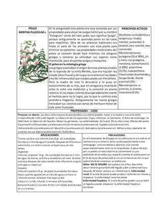 Libro plantas anatomia y fisiología vegetal | DOCX