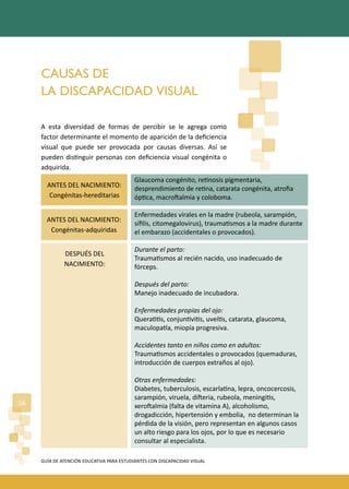Discapacidad visual- Libro visual | PDF