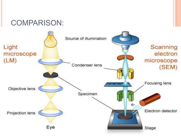 Libs.power point1. | PPT | Free Download