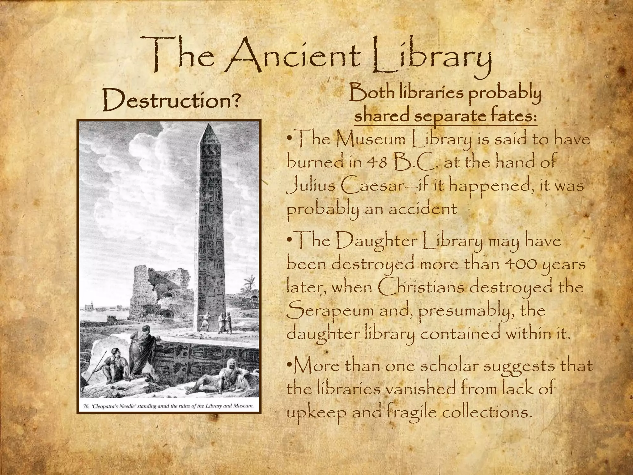 Library Workplace Mythology | PDF