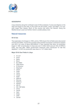 Libya medical plan | PDF