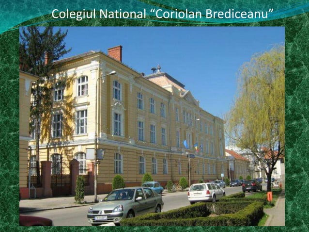 CV Andrei Braga | PPTX