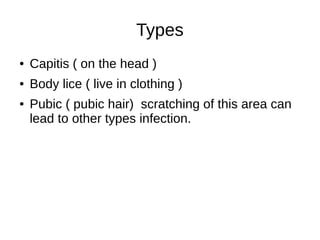 Lice | PPT