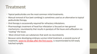 Lice | PPTX