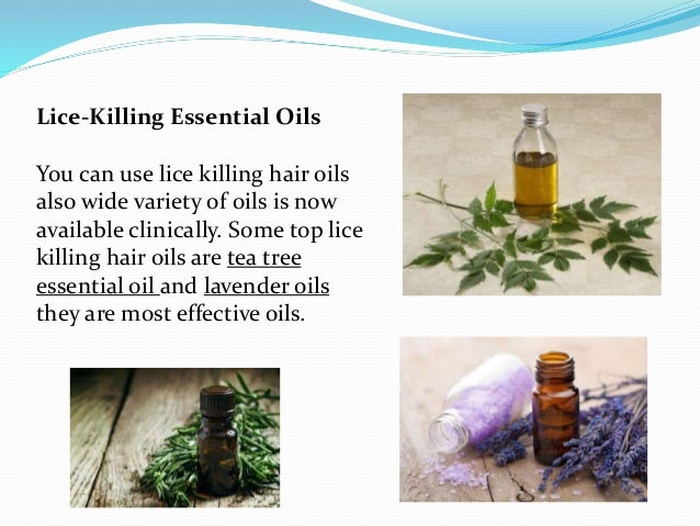 Natural Home Remedies For Lice Control