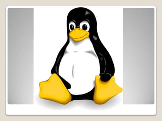 Licencia bsd | PPTX