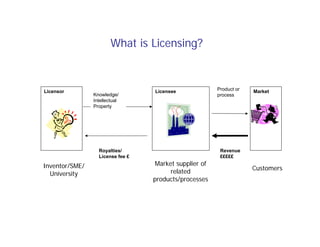 Licensing | PDF