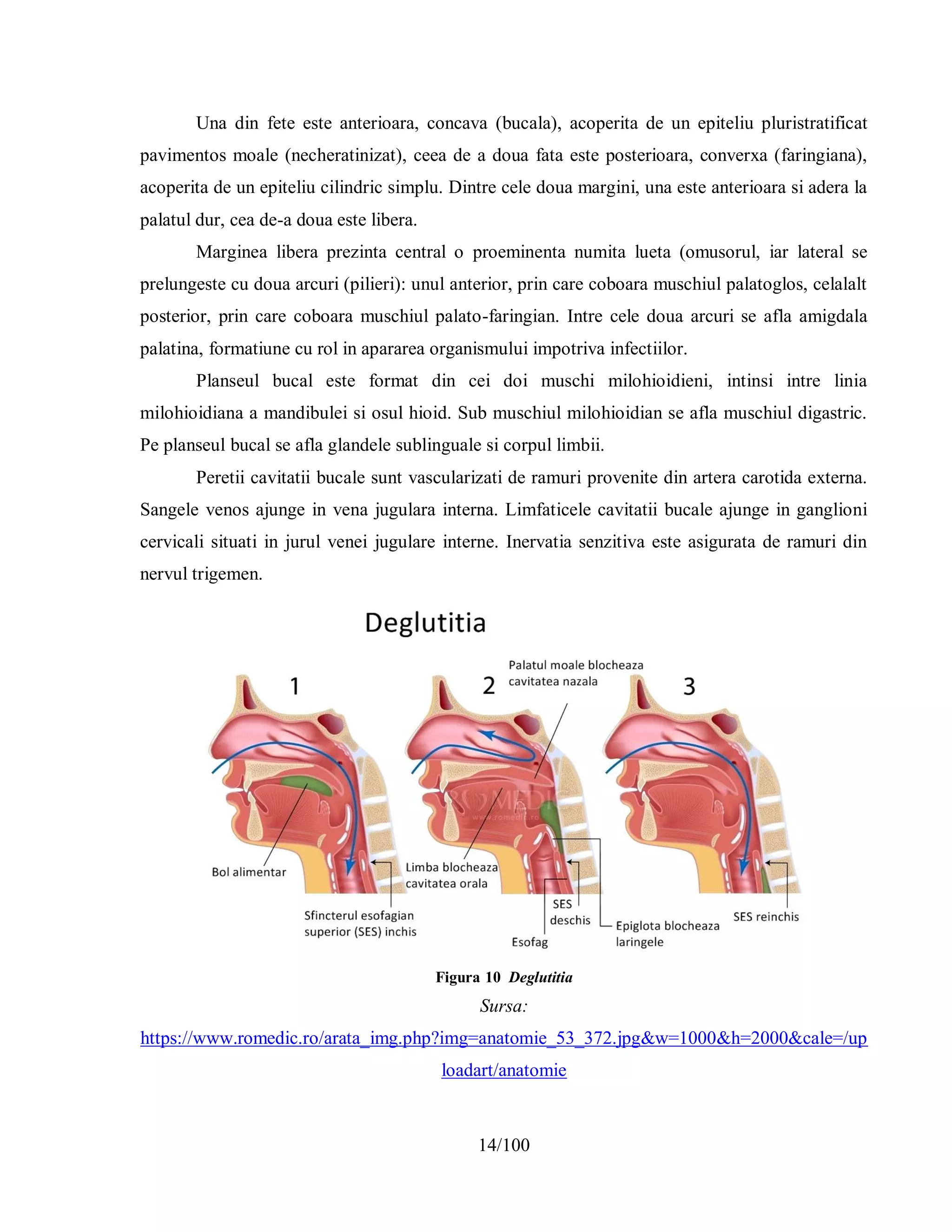ROLUL ASISTENTULUI MEDICAL ȊN ȊNGRIJIREA PACIENTULUI CU ULCER GASTRO ...