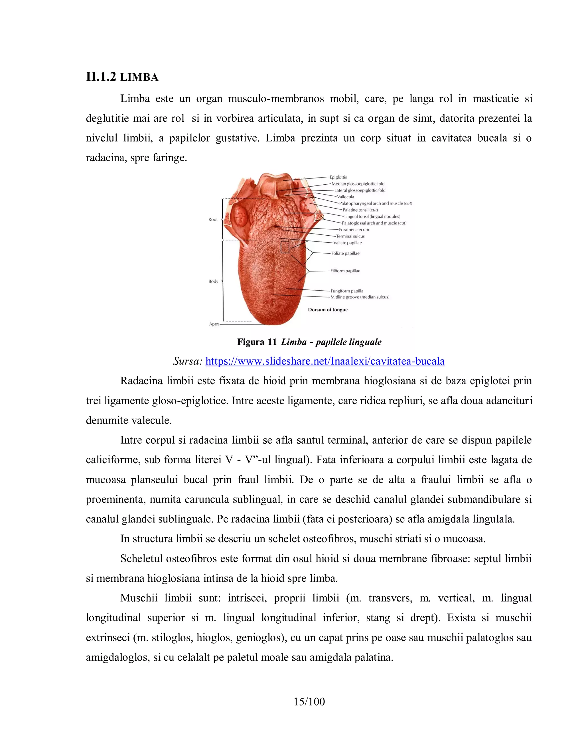 ROLUL ASISTENTULUI MEDICAL ȊN ȊNGRIJIREA PACIENTULUI CU ULCER GASTRO ...