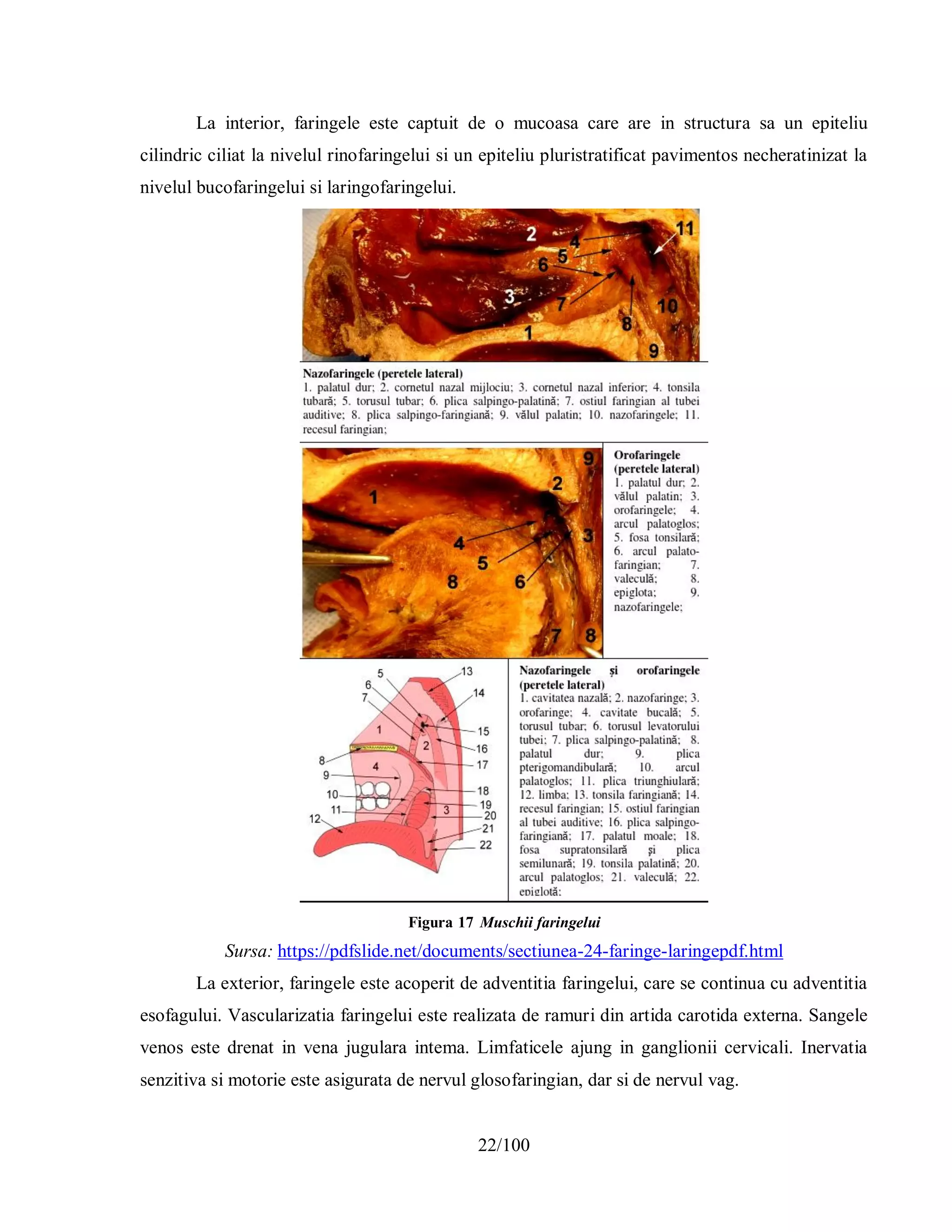 ROLUL ASISTENTULUI MEDICAL ȊN ȊNGRIJIREA PACIENTULUI CU ULCER GASTRO ...