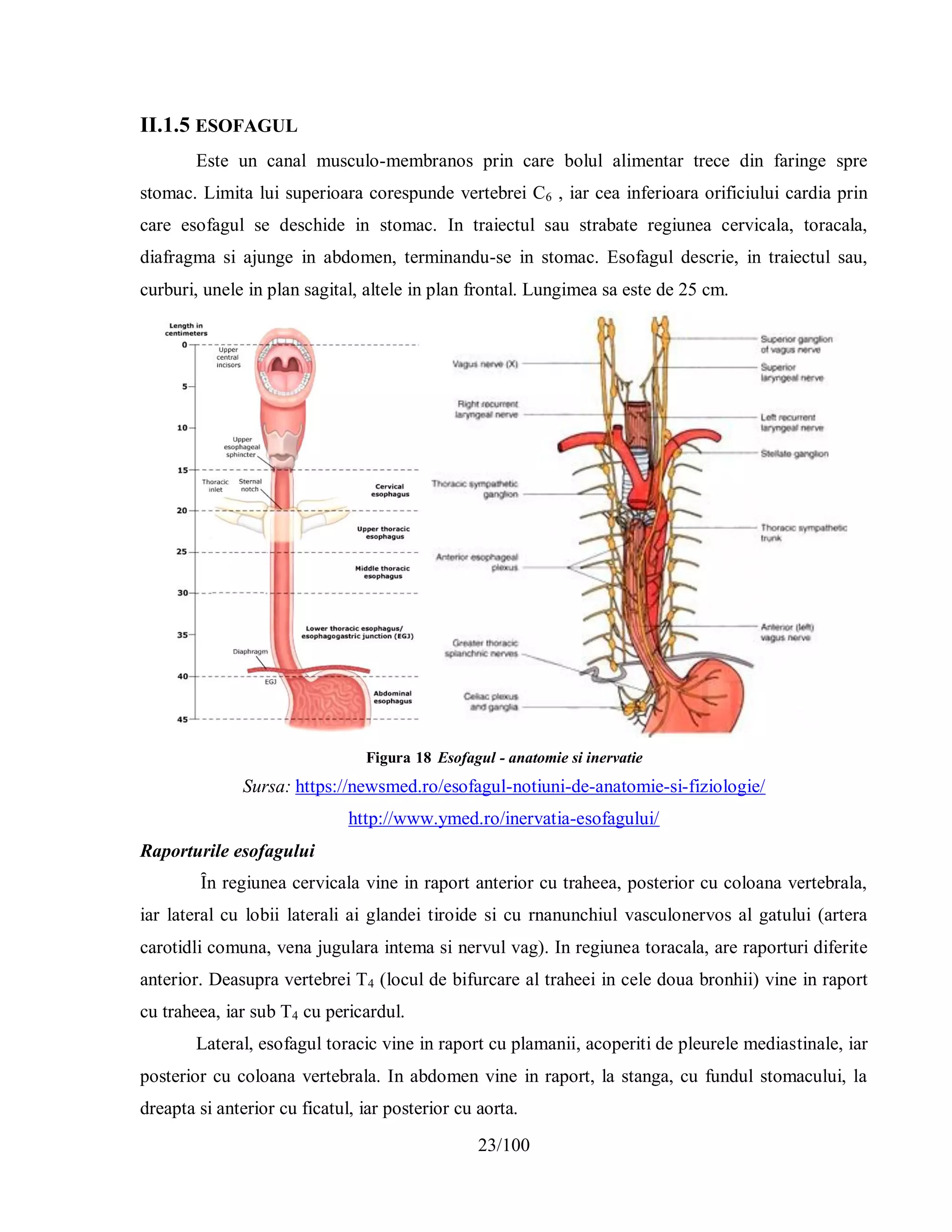 ROLUL ASISTENTULUI MEDICAL ȊN ȊNGRIJIREA PACIENTULUI CU ULCER GASTRO ...