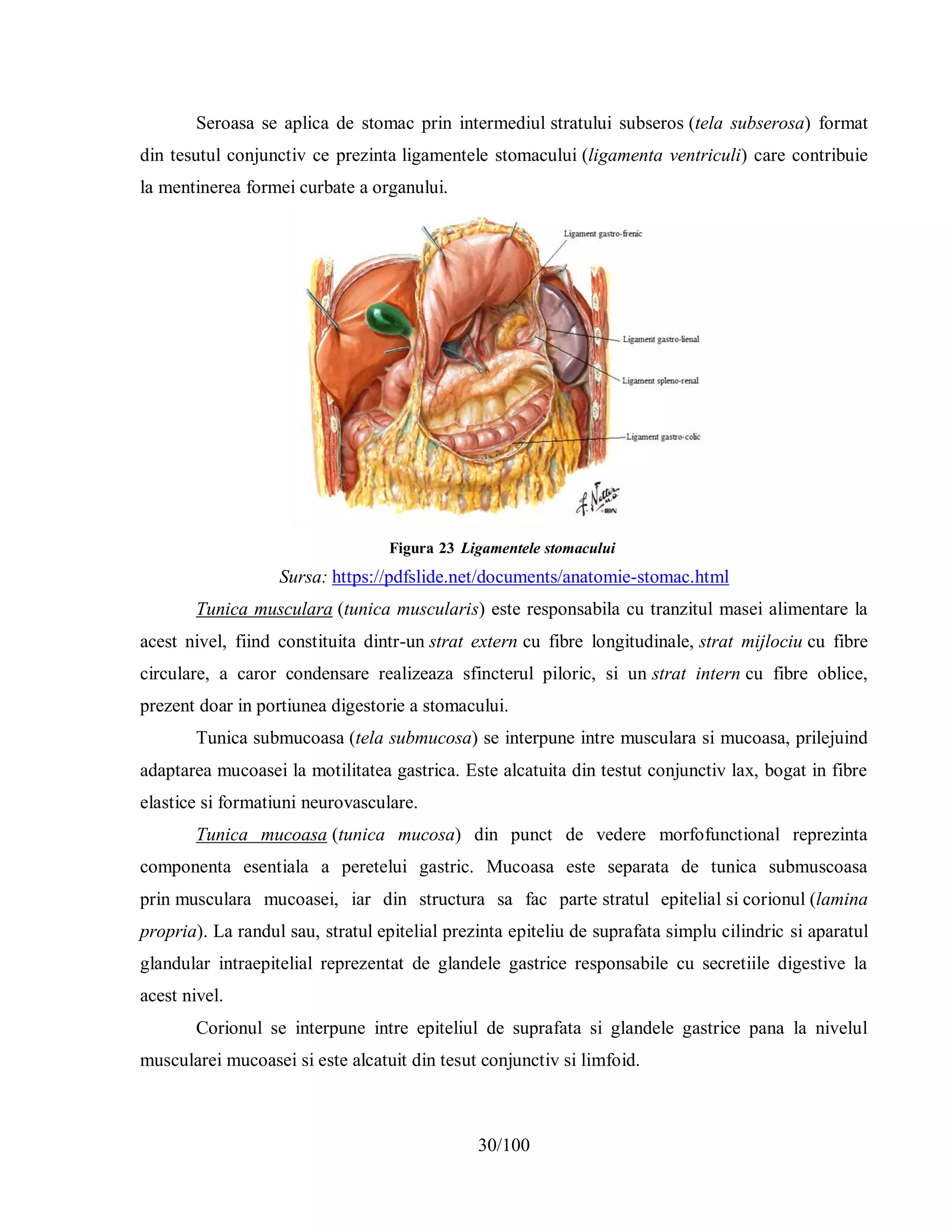 ROLUL ASISTENTULUI MEDICAL ȊN ȊNGRIJIREA PACIENTULUI CU ULCER GASTRO ...