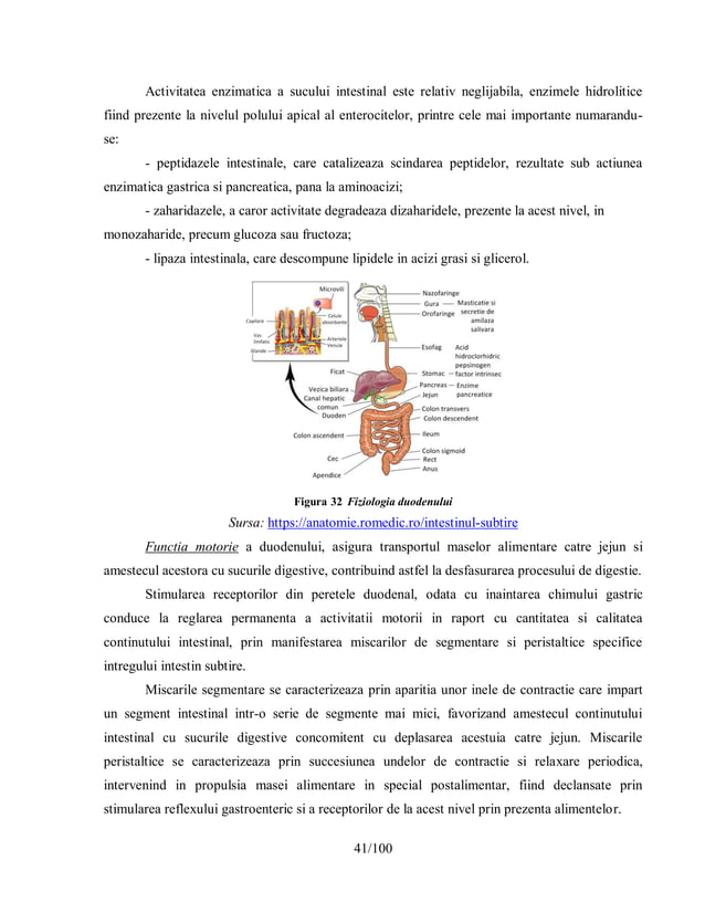 ROLUL ASISTENTULUI MEDICAL ȊN ȊNGRIJIREA PACIENTULUI CU ULCER GASTRO ...