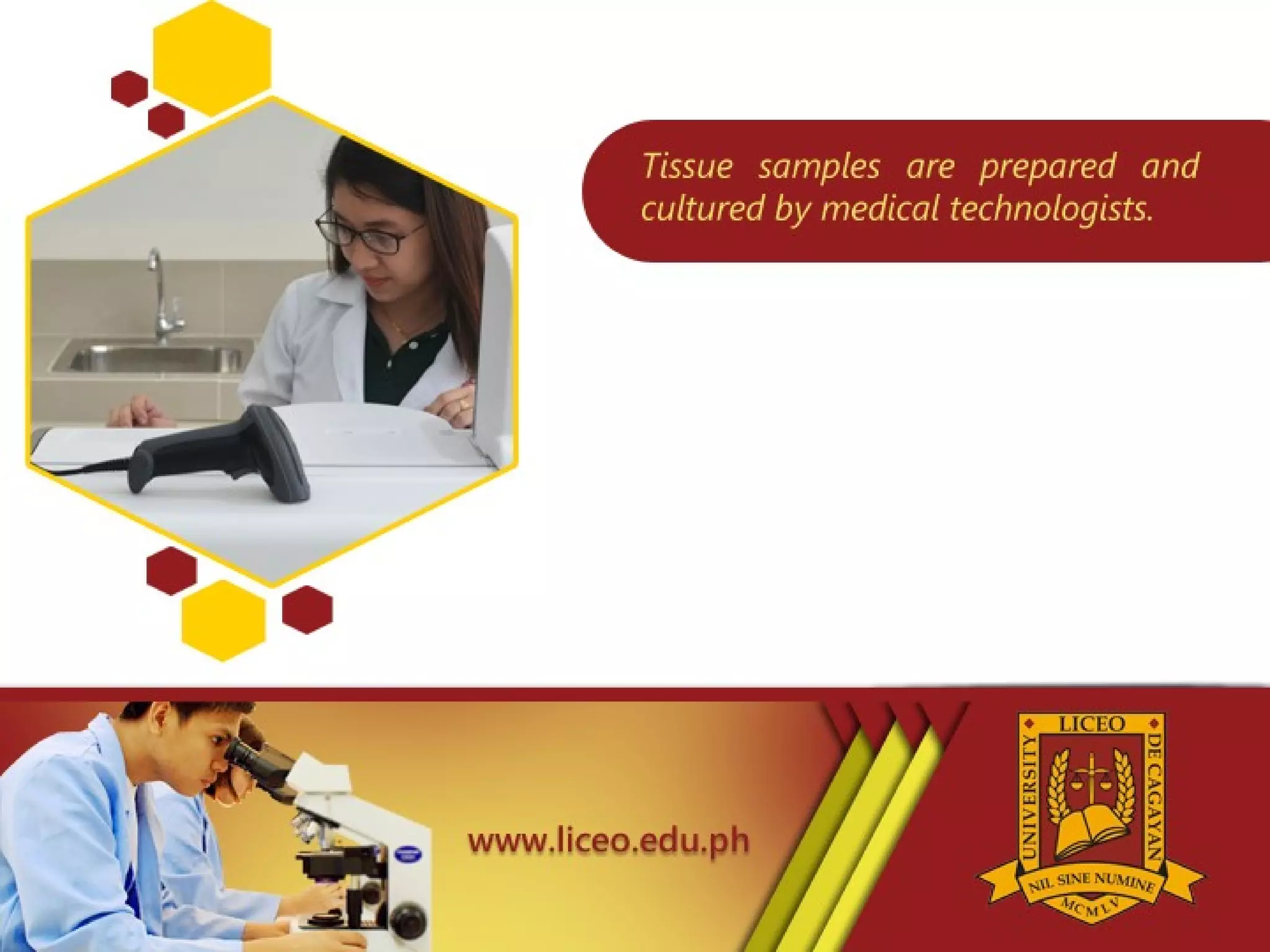 Defining Medical Technology and the Responsibilities of a Medical ...