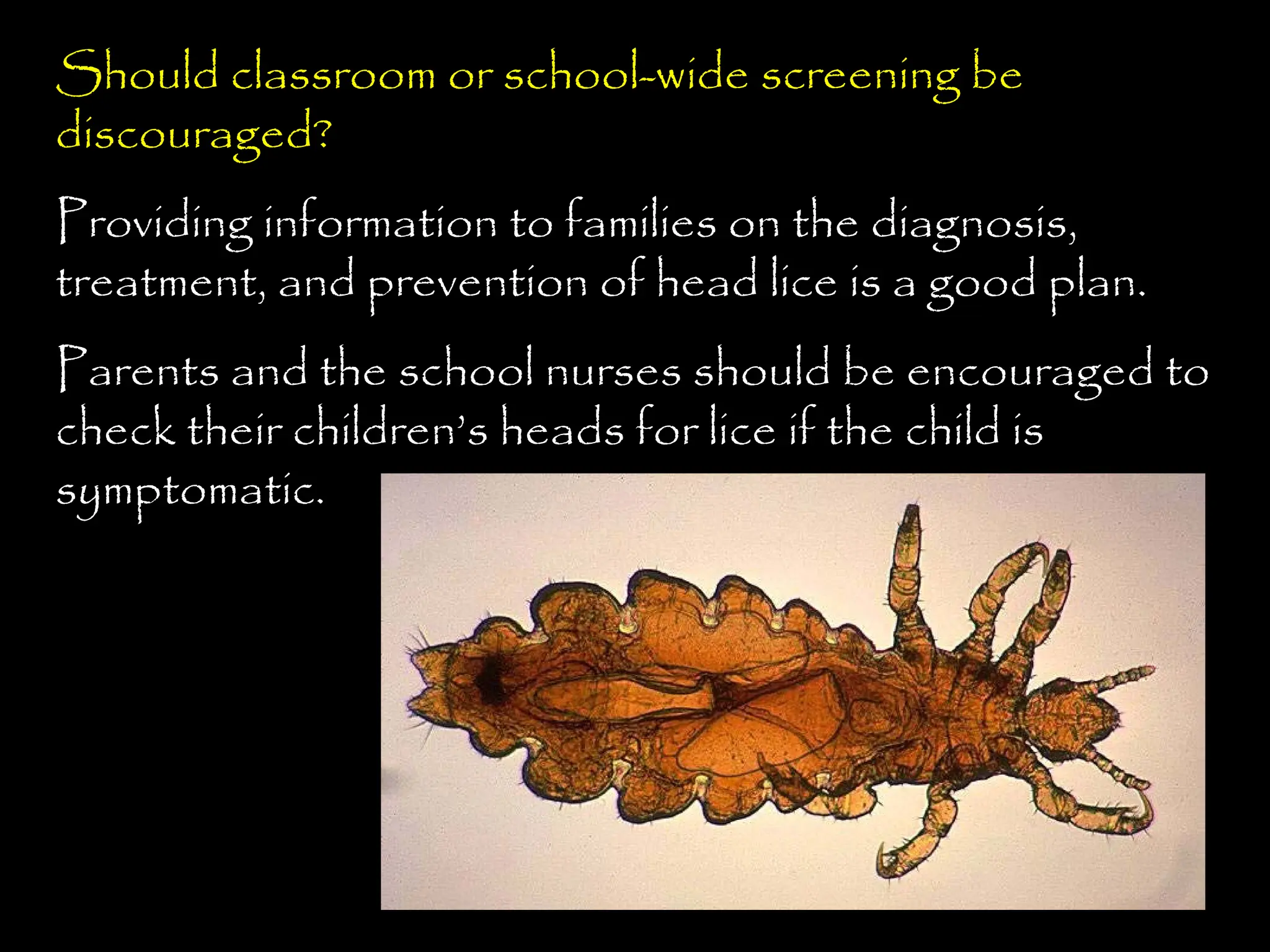 A presentation on Pediculosis capitis (general) | PDF | Hair Care | Beauty