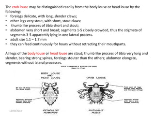 Pubic Lice Life Cycle