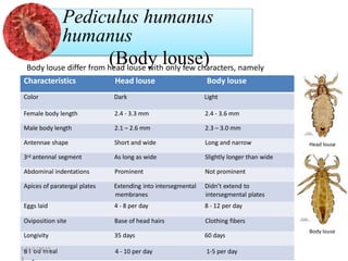 liceseminar-151230105450 (1).pptx