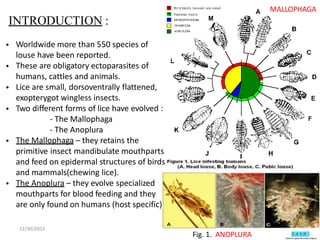 liceseminar-151230105450 (1).pptx