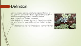 Lichen | PPT