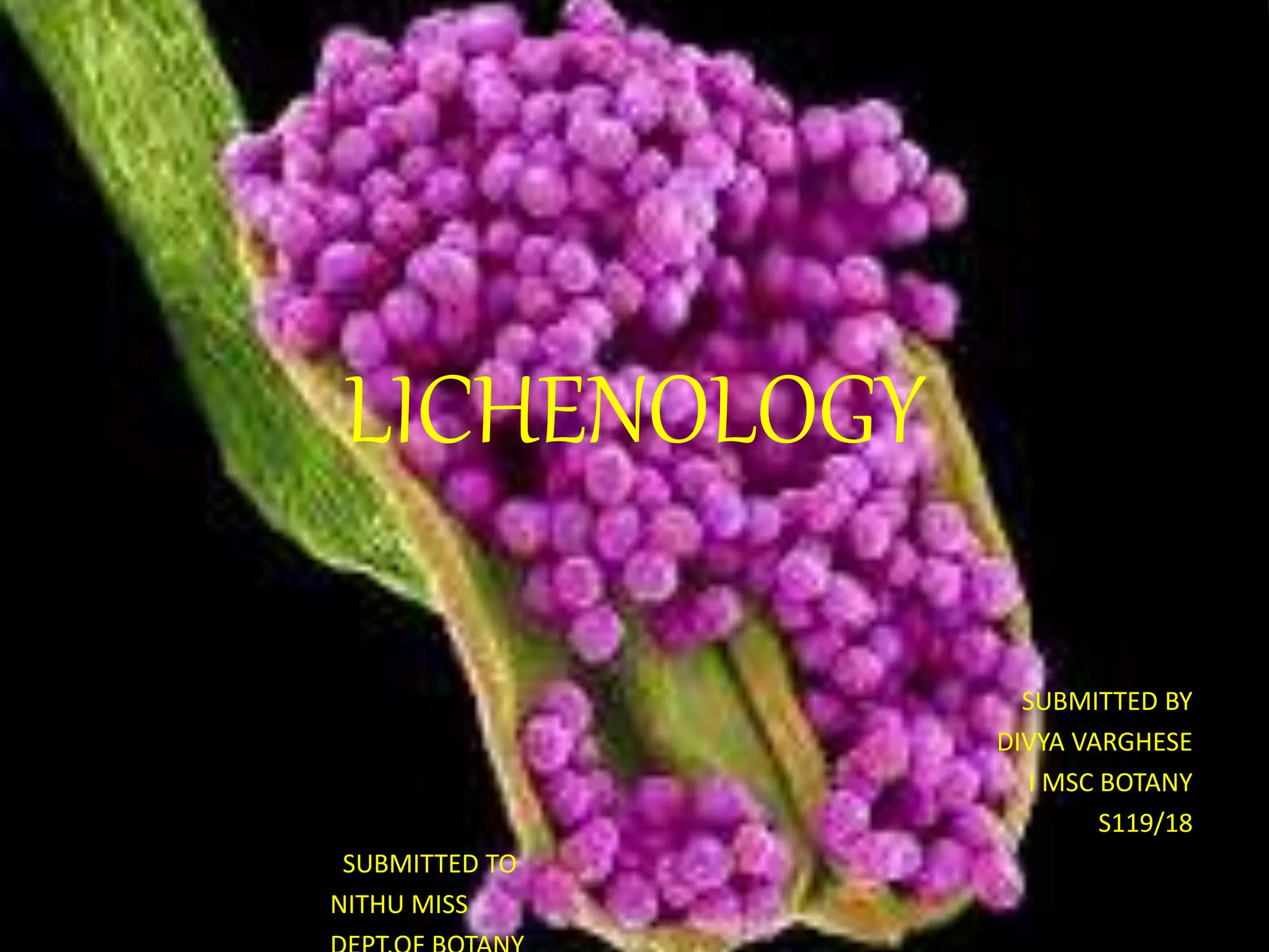 Lichenology | PPTX