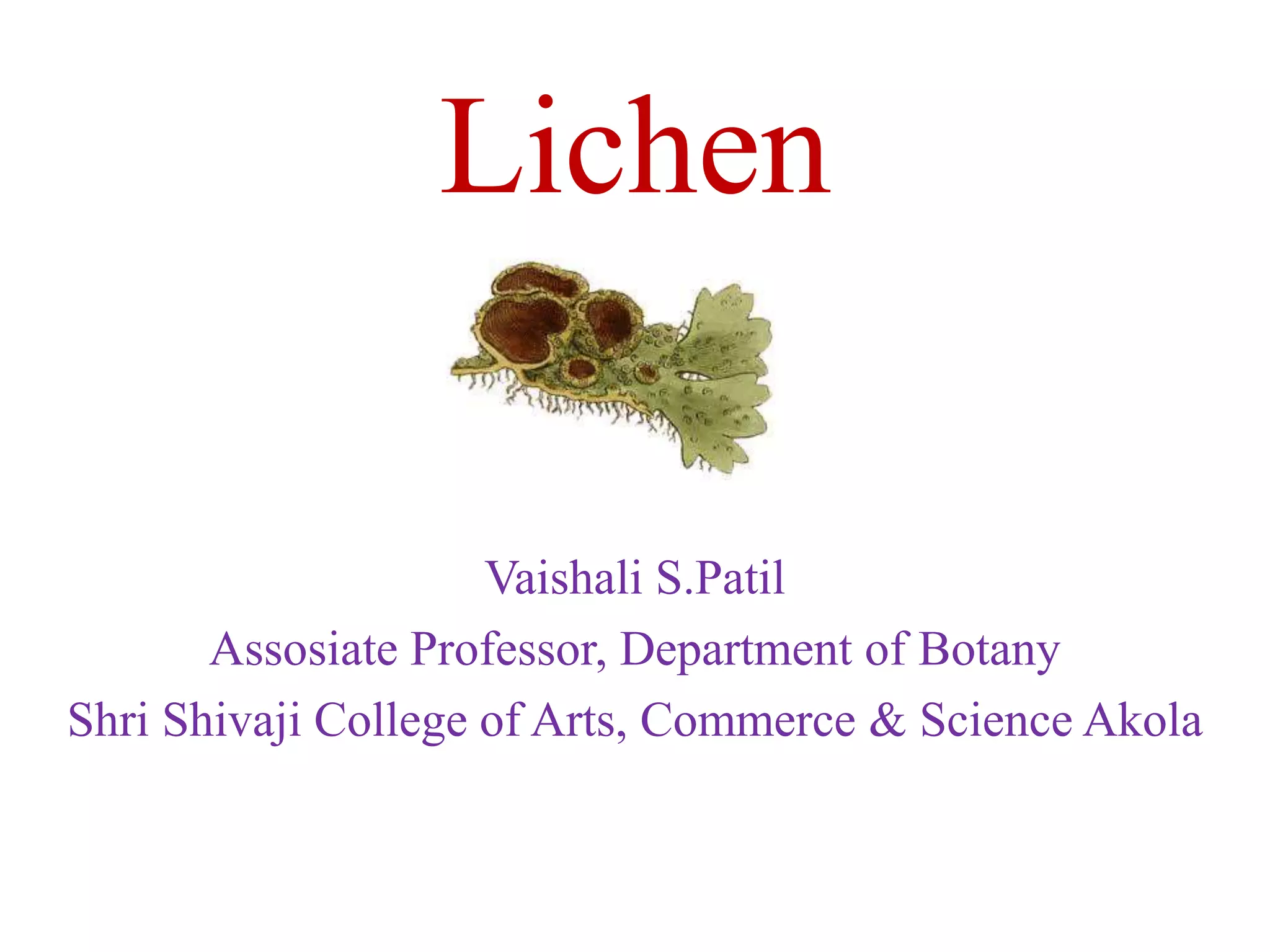 Lichen | PPTX