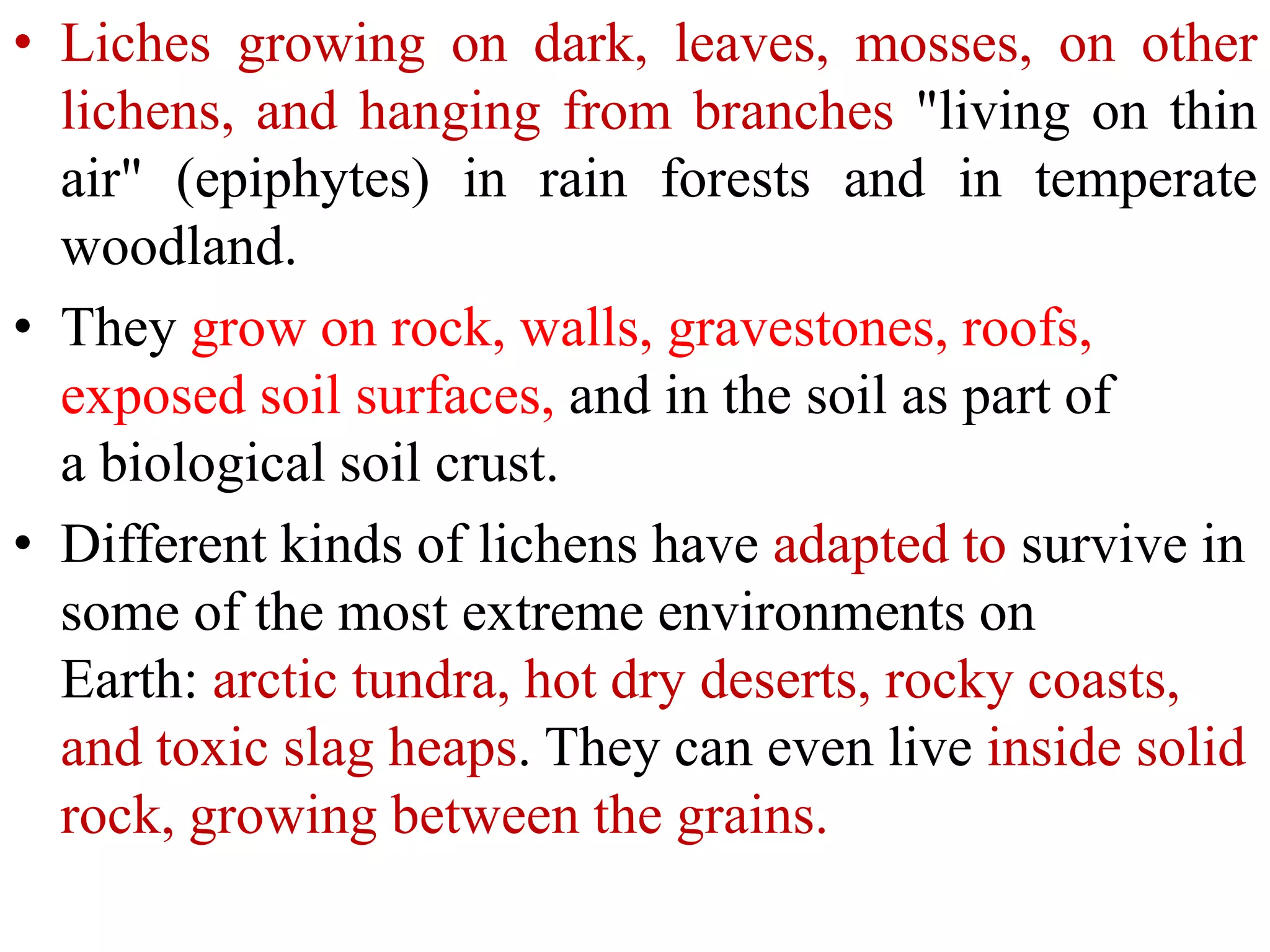 Lichen | PPTX