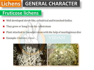 Lichens and its types | PPT