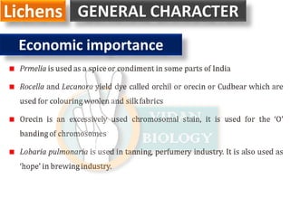 Lichens and its types | PDF