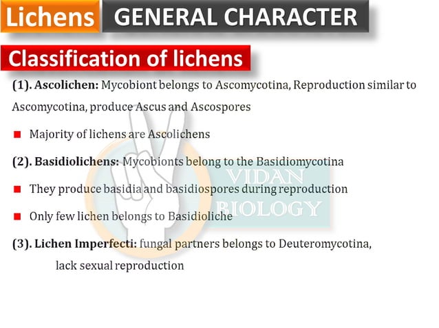 Lichens and its types | PDF