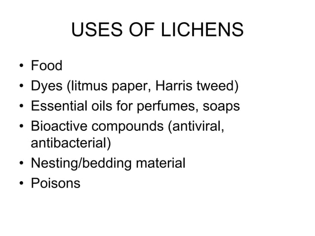 lichen1.ppt