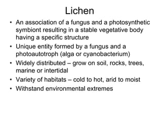 lichen1.ppt