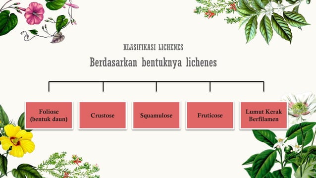 Lichen | PPTX