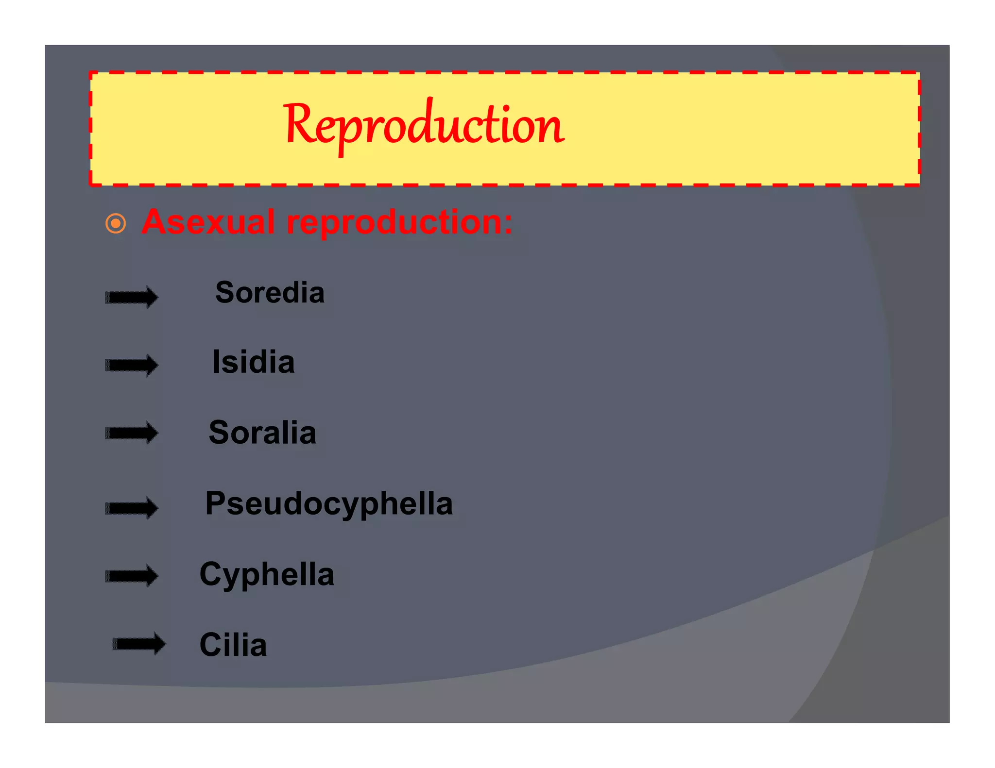 Lichen powerpoint presentation | PDF