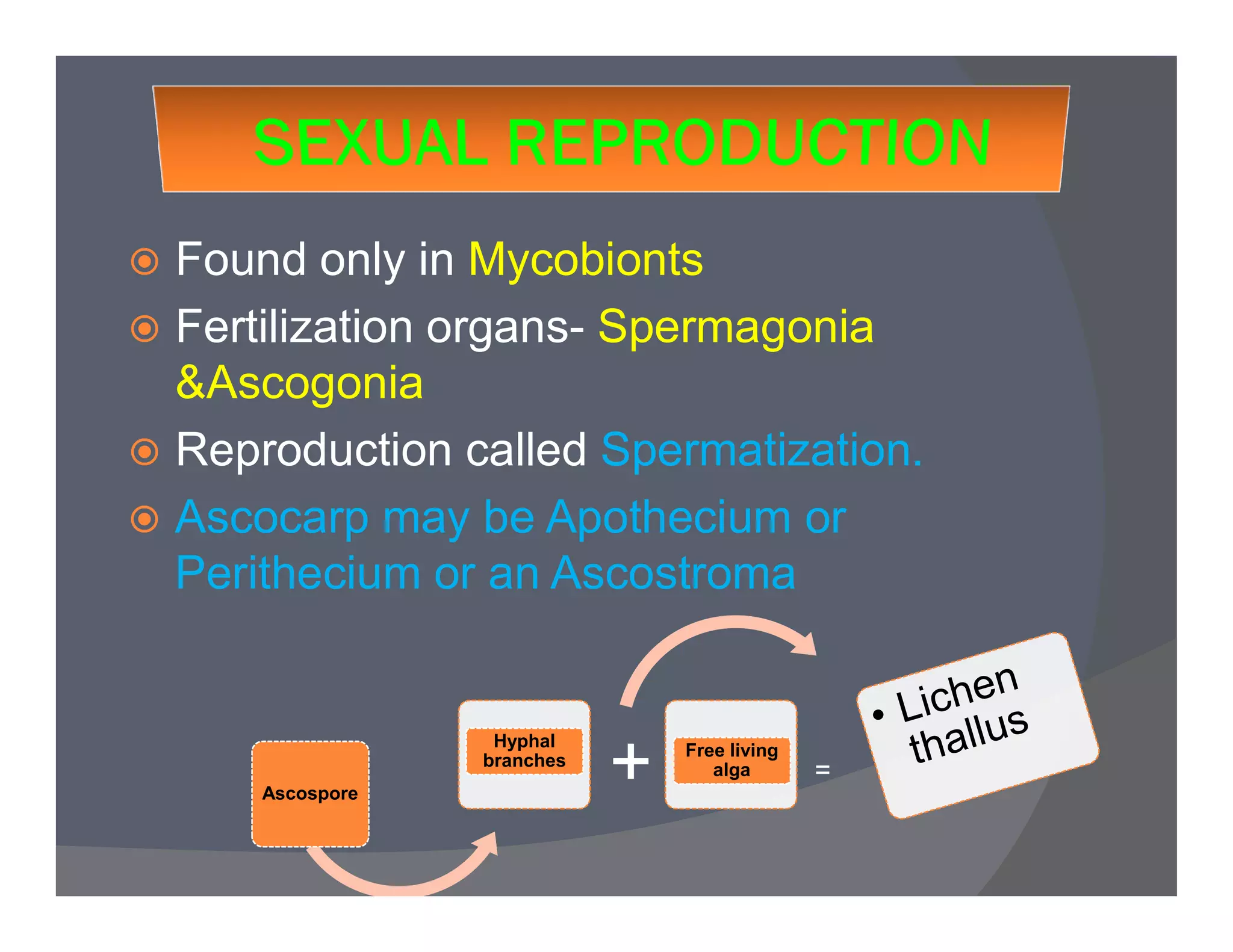 Lichen powerpoint presentation | PDF