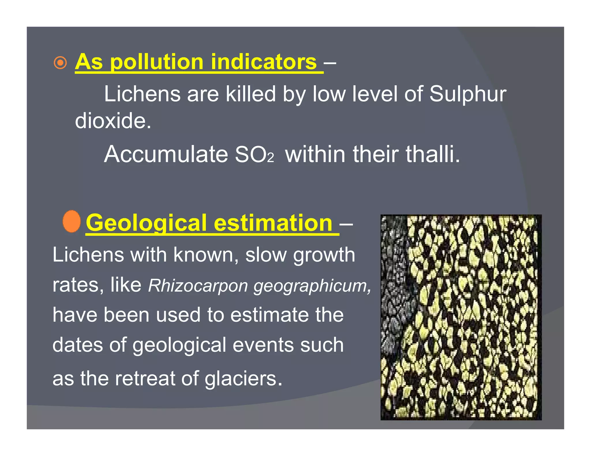 Lichen powerpoint presentation | PDF