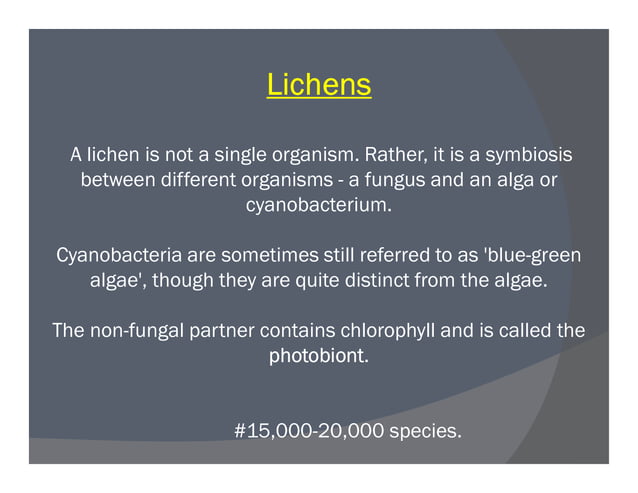 Lichen powerpoint presentation | PDF | Biological Sciences | Science