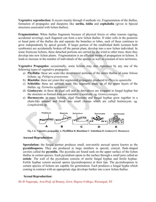 Lichen General Characters by Dr D.Nagaraju | PDF