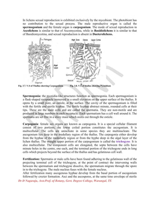 Lichen General Characters by Dr D.Nagaraju | PDF
