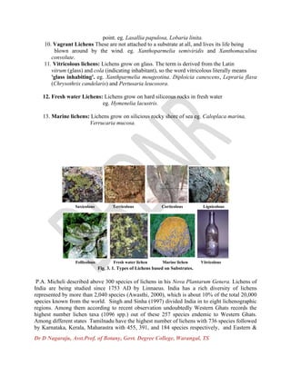 Lichen General Characters by Dr D.Nagaraju | PDF