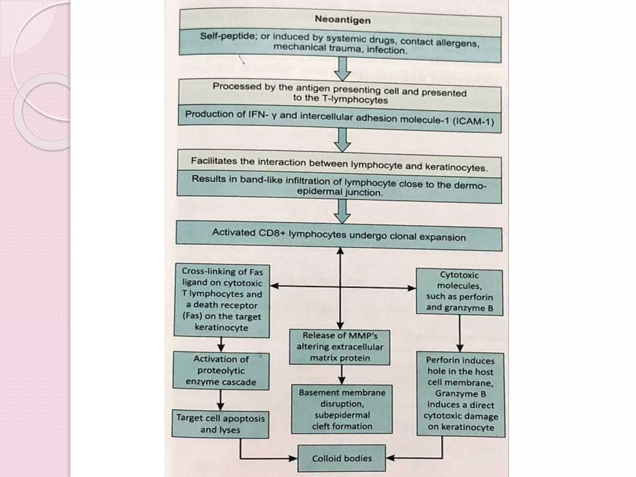 Lichen planus by Dr. Kriti Maheshwari | PPTX