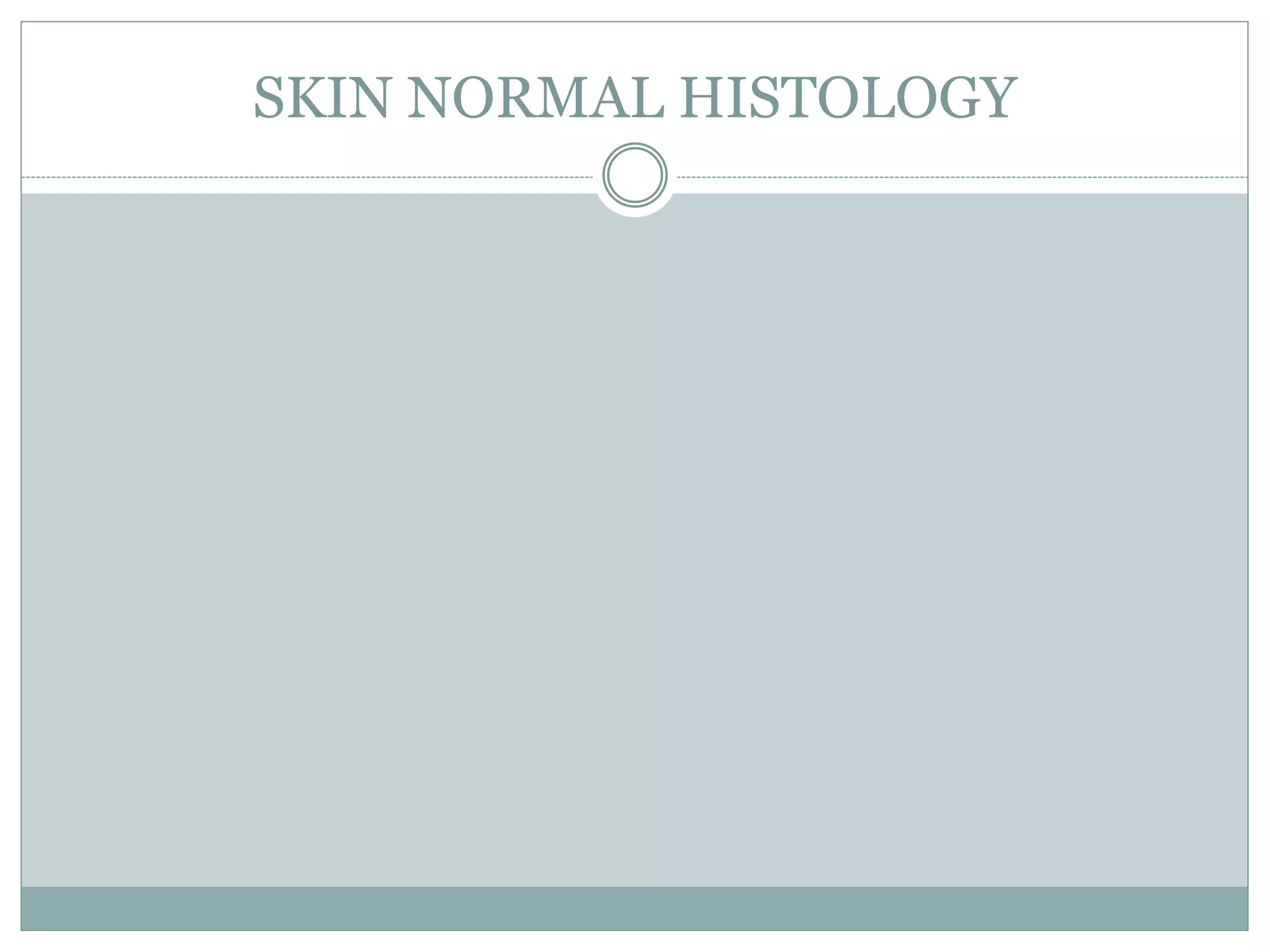 Lichen planus ppt | PPTX